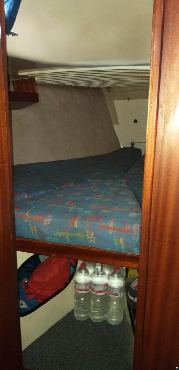 1973 Conyplex Contest 31, EUR 12.000,-