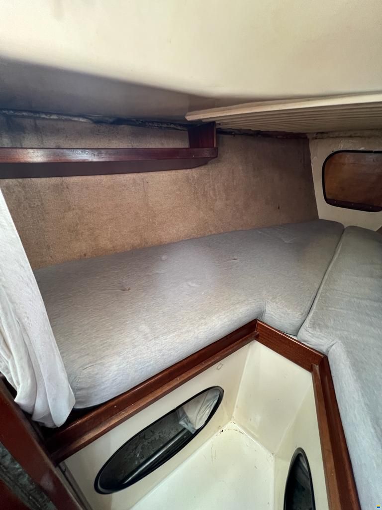 1972 Conyplex Olanda Contest 31, 9 900 CHF