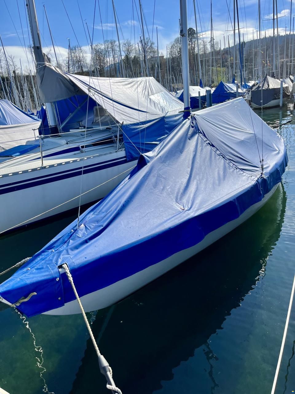 1989 Botnia Marin H-Boot Botnia, CHF 12.000,-