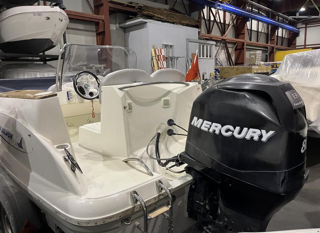 2011 Quicksilver Commander 505, CHF 14.000,-