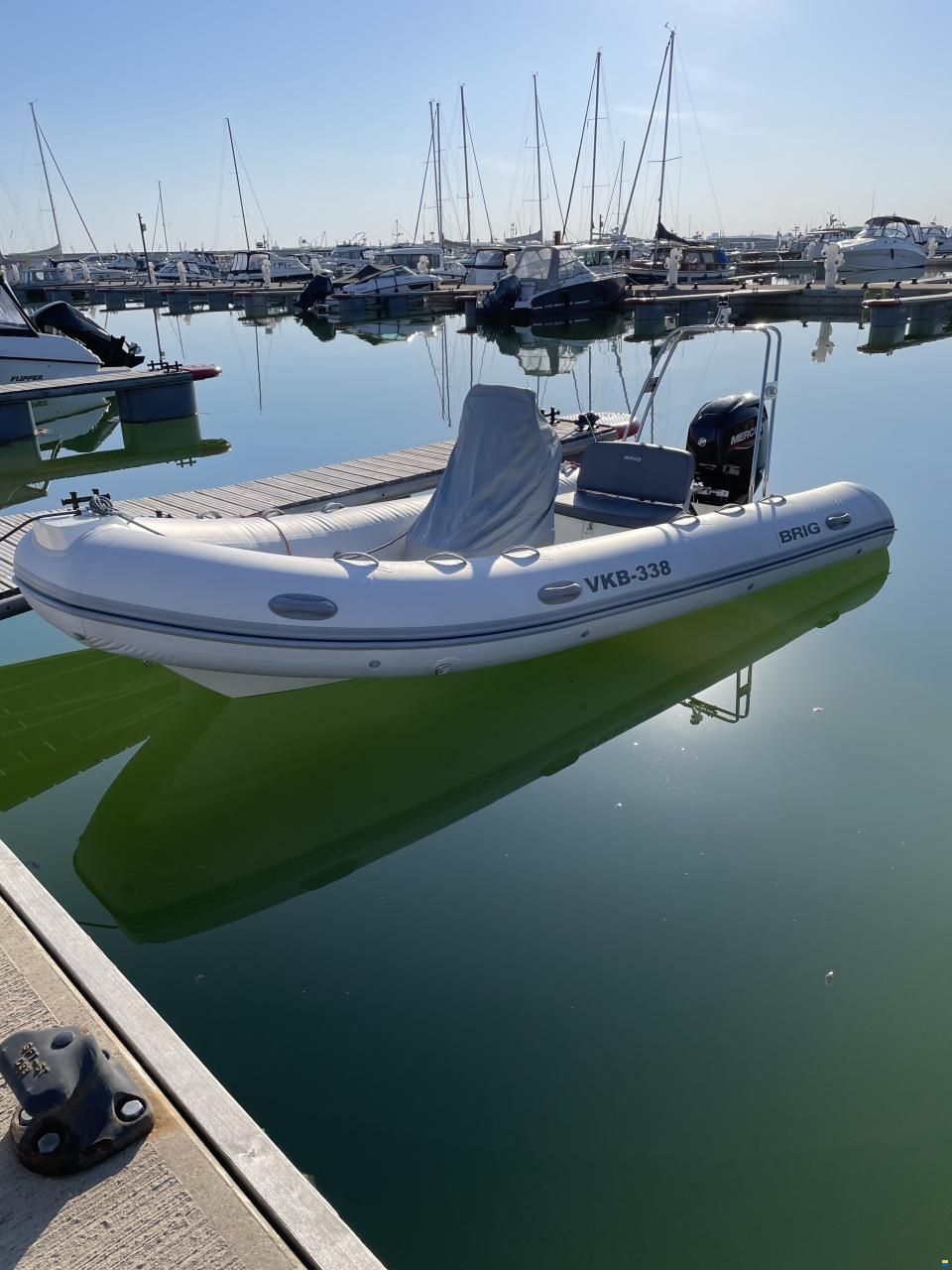 2020 Brig Falcon 500L, 19.220 EUR