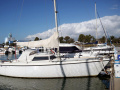 1984 Maxi Magic, EUR 11.000,-