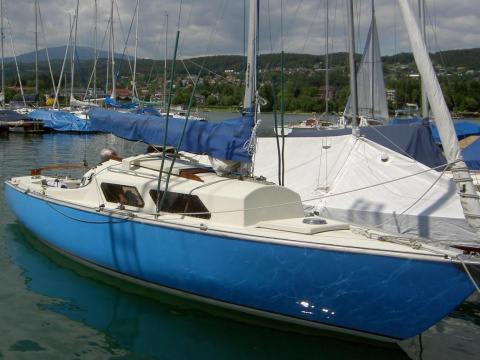 Shark24 - Hauptsache robust (inkl. Technischer Daten)