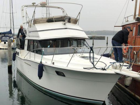 1990 Carver 3207, EUR 56.993,-