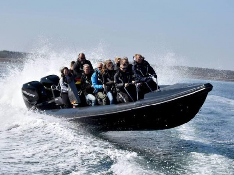 2010 Raven Rib 8.87, EUR 93.200,-