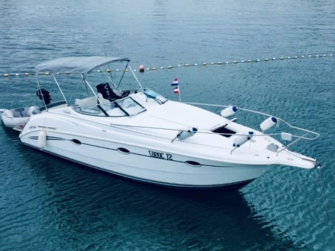 1996 Silverton 29, EUR 36.900,-