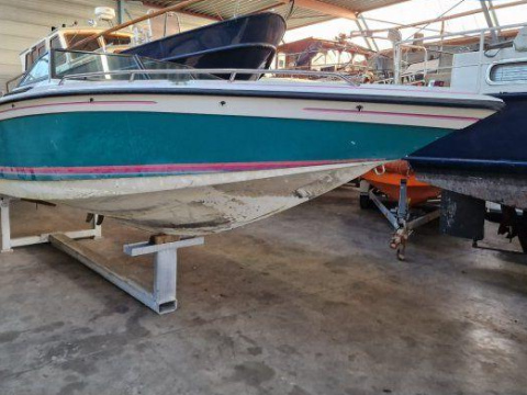 1990 Supra Saltare Classic, EUR 1.250,-