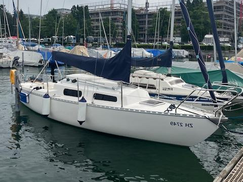 2016 Shark 24, CHF 28.000,-