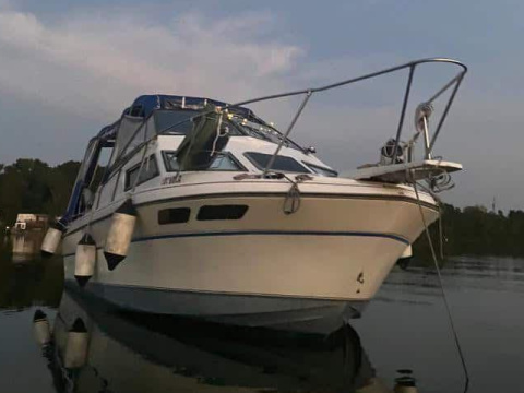 1993 Campion Victoria 250, EUR 14.990,-