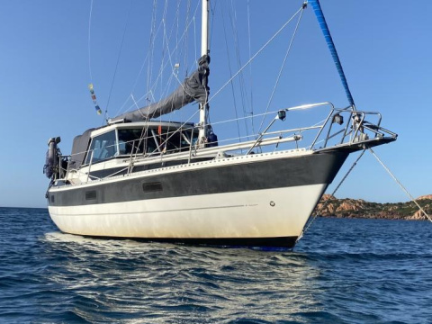 1978 Albin Marine Winga 87, EUR 25.000,-