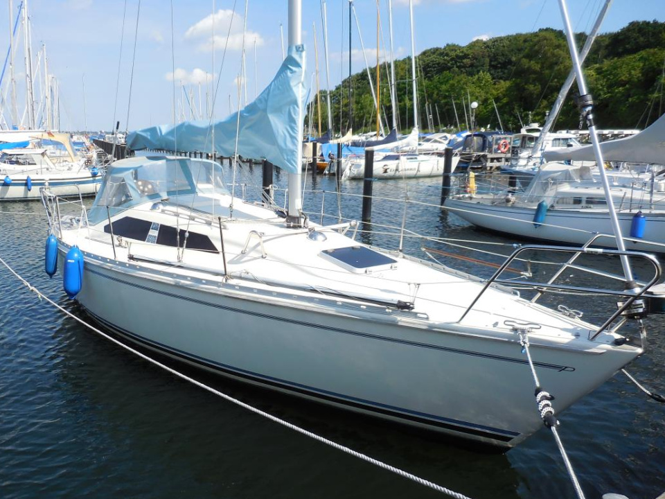 1987 Pelle Peterson Maxi 909 F, EUR 24.500,-