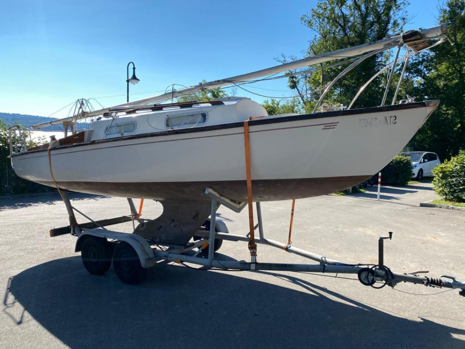 Shark24 - Hauptsache robust (inkl. Technischer Daten)