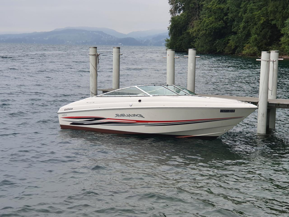 2002 Wellcraft Excalibur 20, CHF 44,500