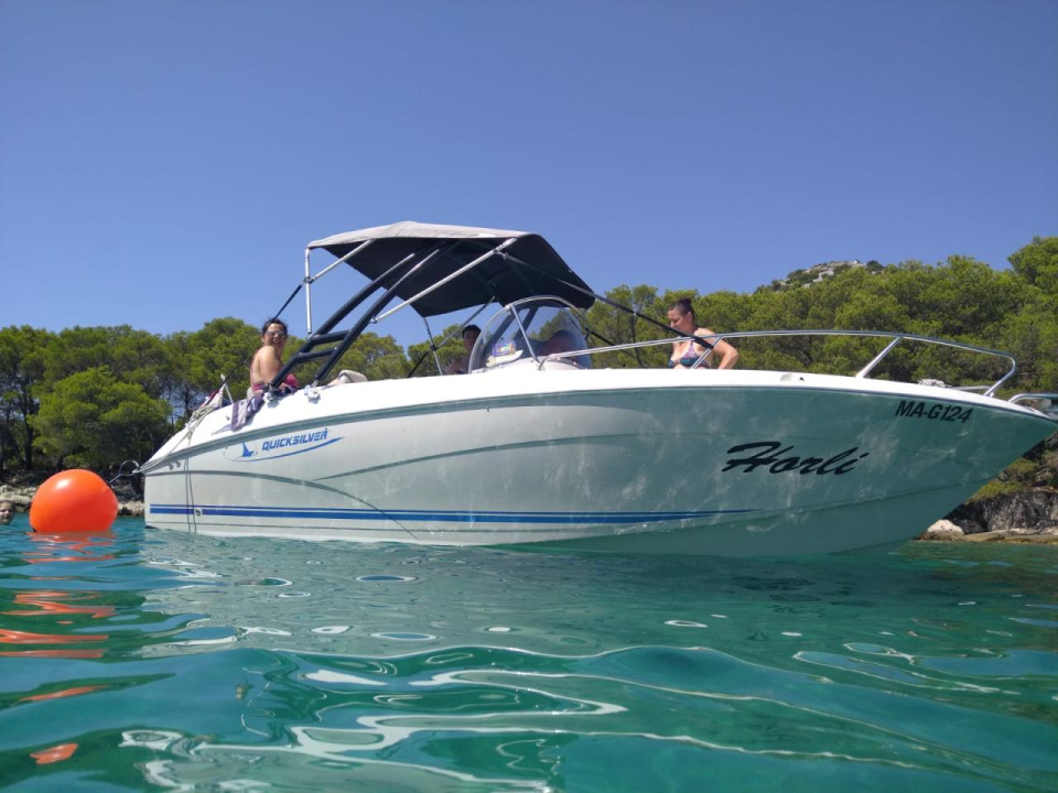 2009 Quicksilver Commander 600, EUR 28.500,-