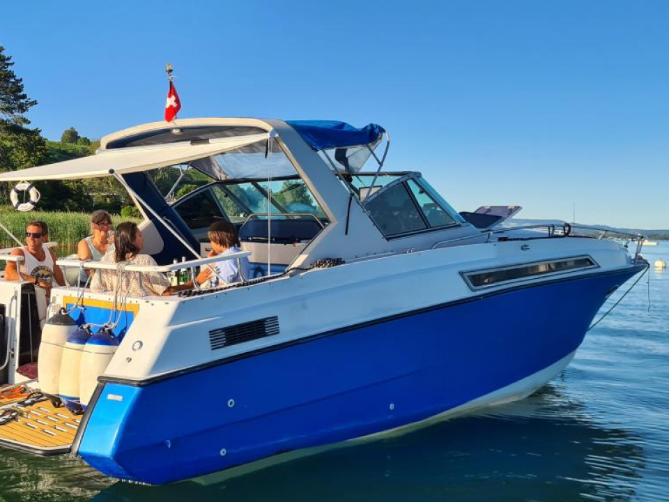 1990 Larson 300, CHF 9.000,-