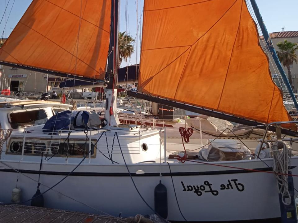 1974 Sea Hawk Seahawk 36 zu verkaufen