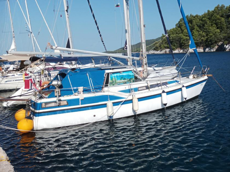 1983 ALO .96ms, EUR 17.500,-