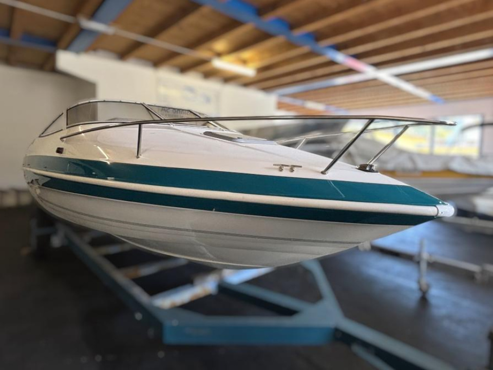 1994 Wellcraft Eclipse 196 SCS, CHF 18.000,-