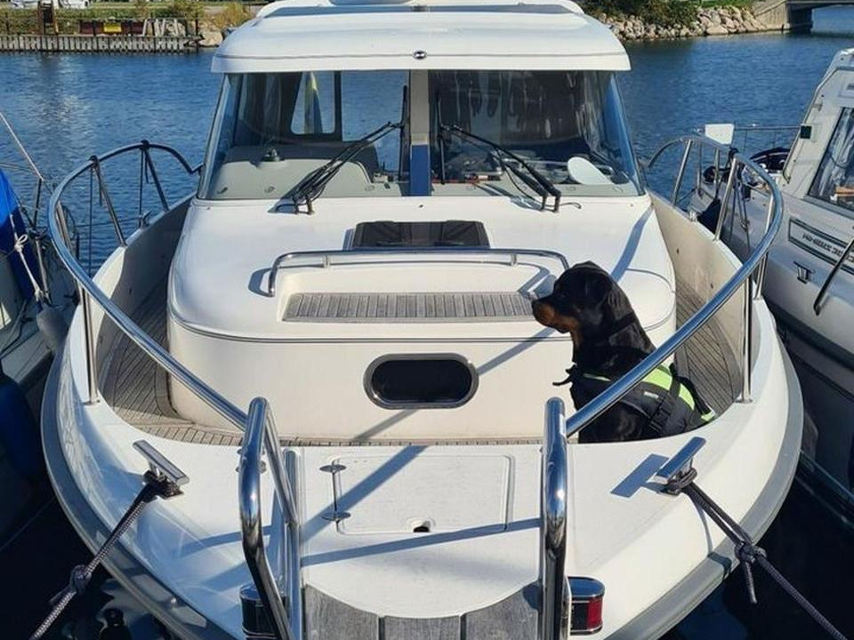 2009 Nimbus 35 Nova, SEK 1.950.000,-