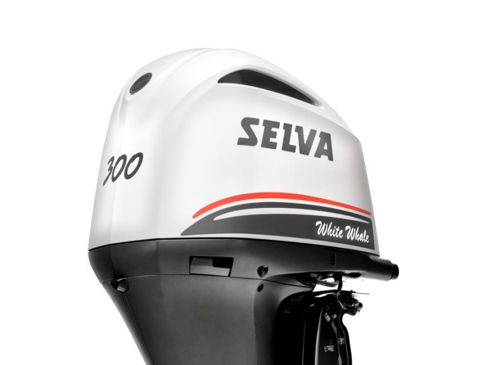 2024 Selva Withe Whale 300, CHF 27.950,-