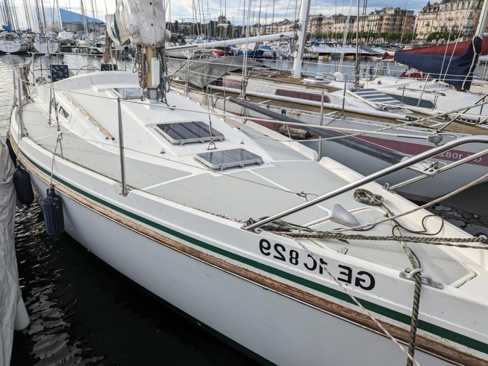 1979 Conyplex Contest 31 HT, CHF 14.000,-