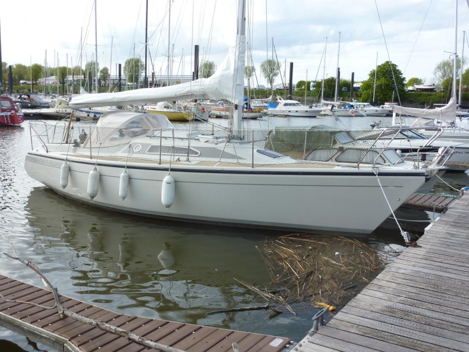 Dehler 31 kaufen
