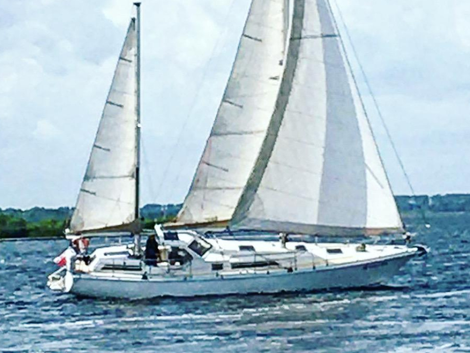 1982 Amel SHARKI, Under Offer