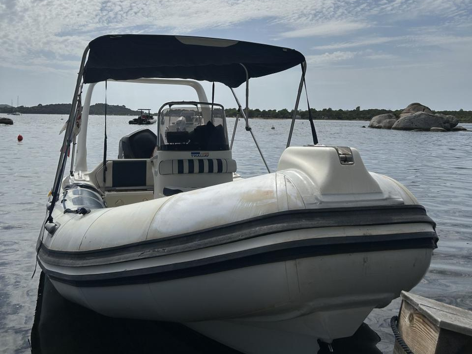 2007 BRUNSWICK MARINE EMEA VALIANT VG - 620, EUR 14.000,-