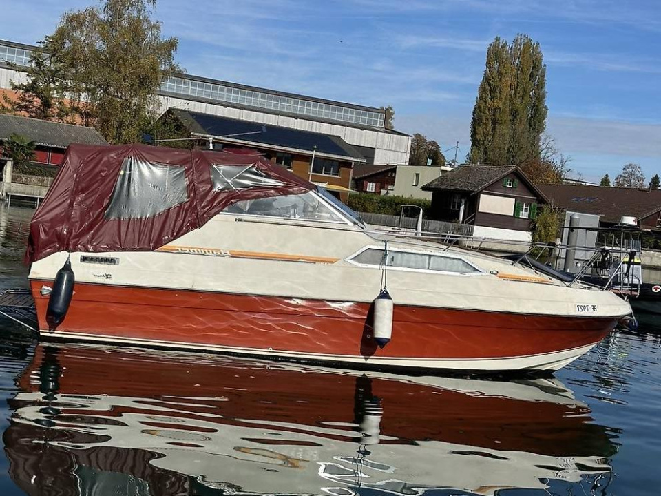 1981 Bayliner Victoria Sunbridge, CHF 8.800,-