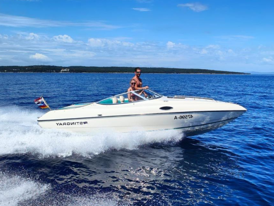 1994 Stingray 609 ZPX, EUR 14.000,-