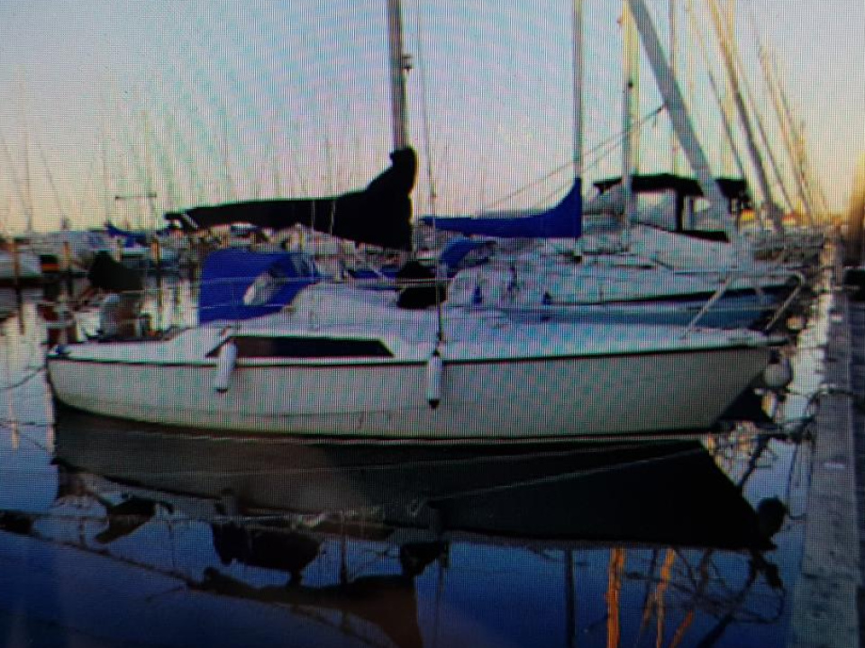 1977 Maxi 77 zu verkaufen