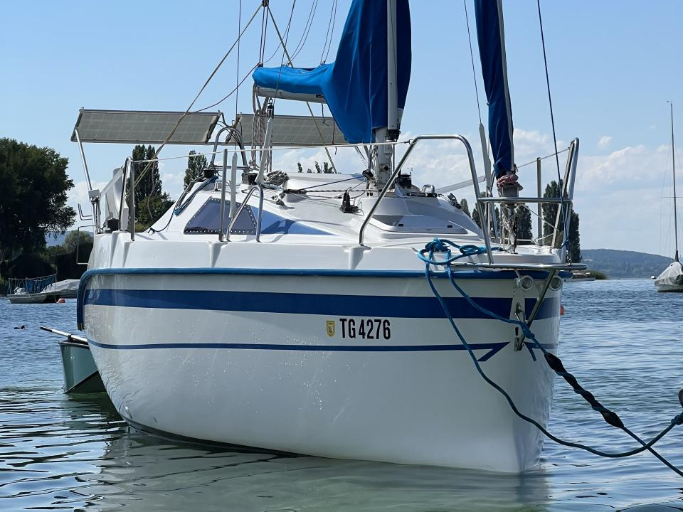 2001 TES 550 Master, CHF 12.000,-