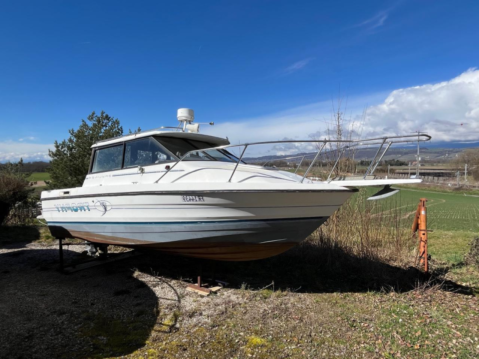 1991 Bayliner Trophy 2159 Cuddy, CHF 6.900,-