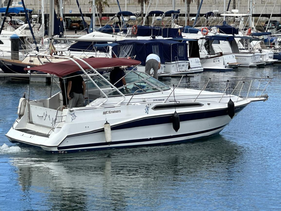 1996 Cruisers International 3970 Rogue, EUR 54.000,-