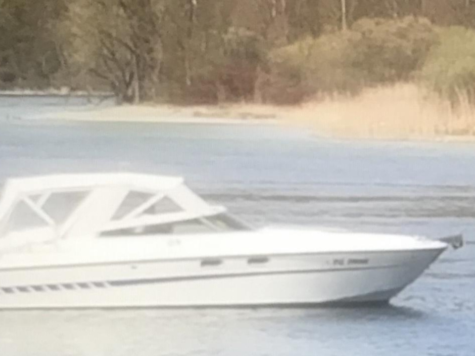 1995 Gio Mare 250, EUR 19.500,-