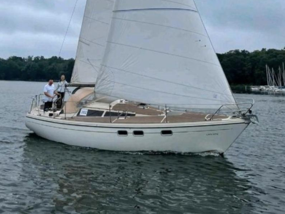 1978 Dehler Optima 92, EUR 9.500,-
